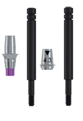 Camlog Biohorizons : Bases titane CAD CAM CONELOG